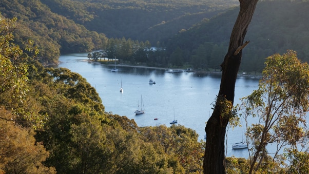 Coasters Retreat, the small sailing community that helped launch the ...