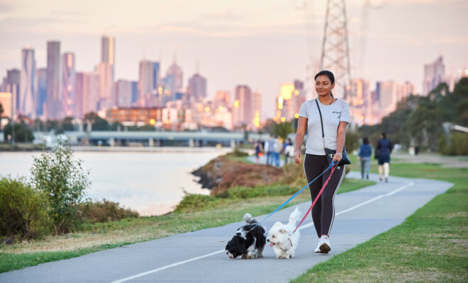 My Victorian Waterway Survey - Marine Business News