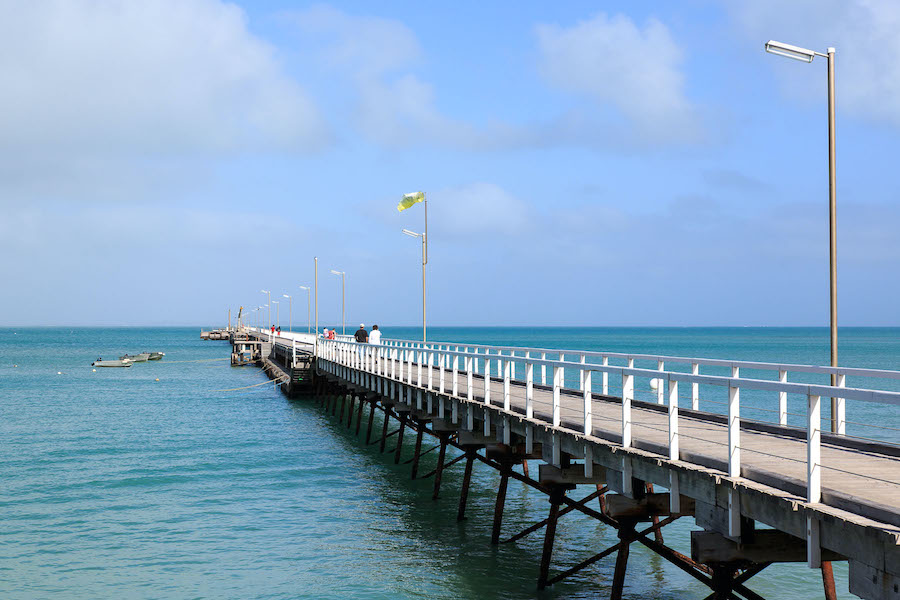 News from Marine Safety SA August 2022 - Marine Business News