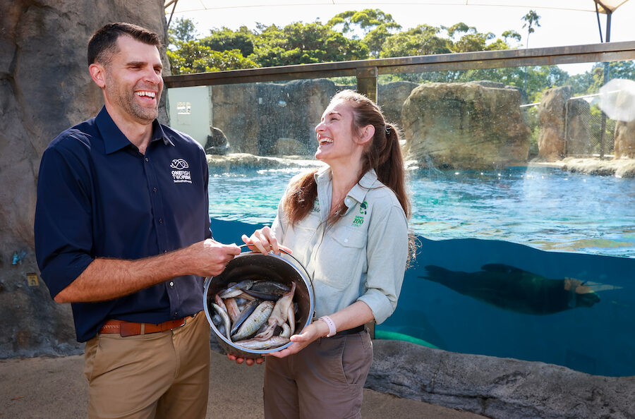 One for you, two for the sea – Seafood Positive throws sustainable ...