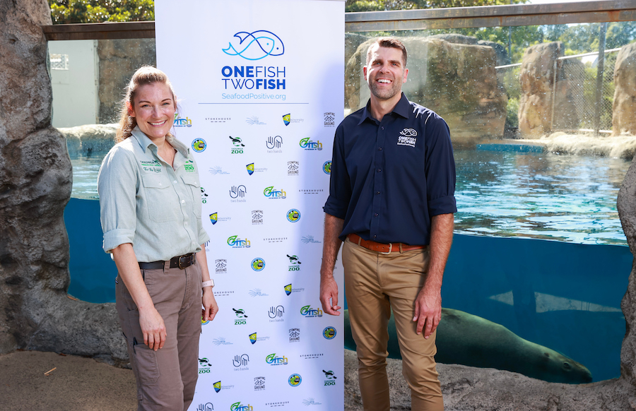 One for you, two for the sea – Seafood Positive throws sustainable ...