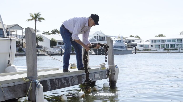 Pimp My Jetty Heads To The East Coast - Marine Business News