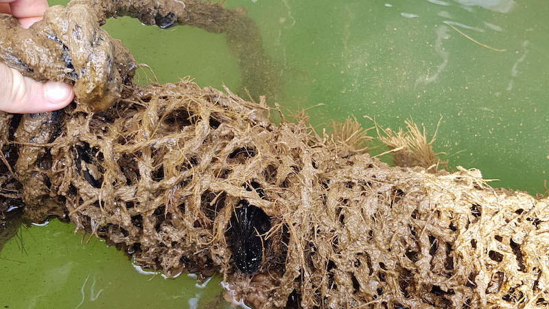 Pimp My Jetty Heads To The East Coast - Marine Business News