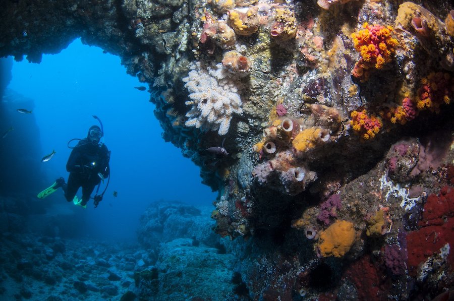 Consultation opens on the review of the South-east Marine Parks Network ...