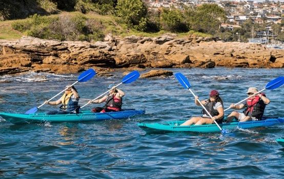 Paddle safety - Marine Business News