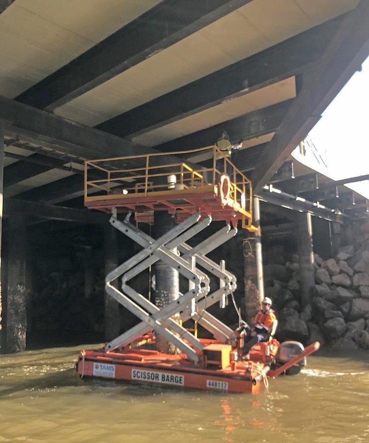 TAMS Group wins first Southern Ports contracts - Marine Business News