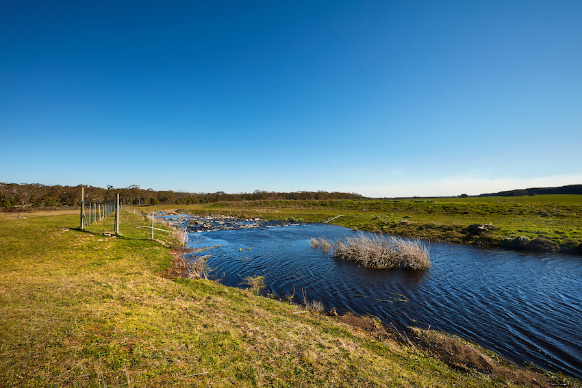 Native Fish to Thrive with Fishway at Buchan River - Marine Business News
