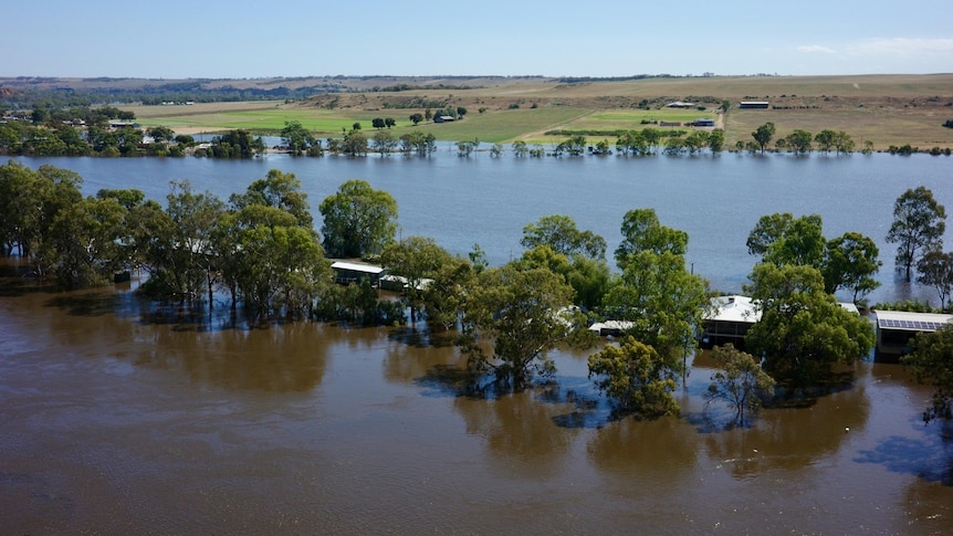 Millions injected into flood-affected Murray River communities - Marine ...