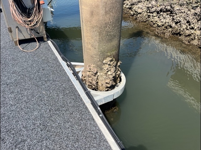 Protect your Piles! - Marine Business News