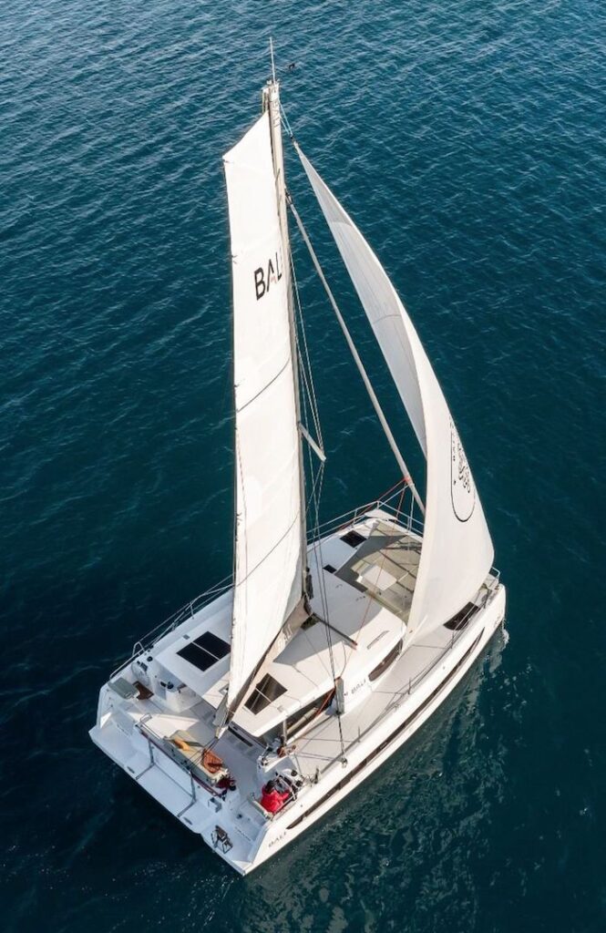 Bali Catsmart The sought after Bali Catsmart could be in your grasp ...