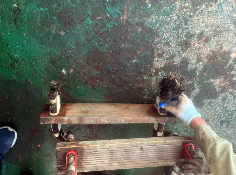 Ship master and company convicted over pilot ladder failures - Marine ...