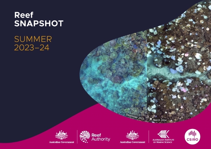 Great Barrier Reef snapshot: summer 2023-24 - Marine Business News
