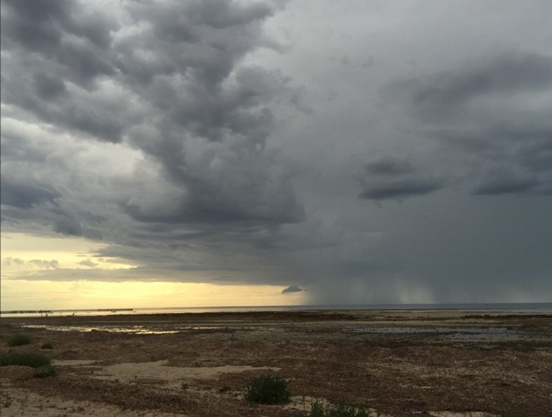 News from Marine Safety South Australia - Marine Business News