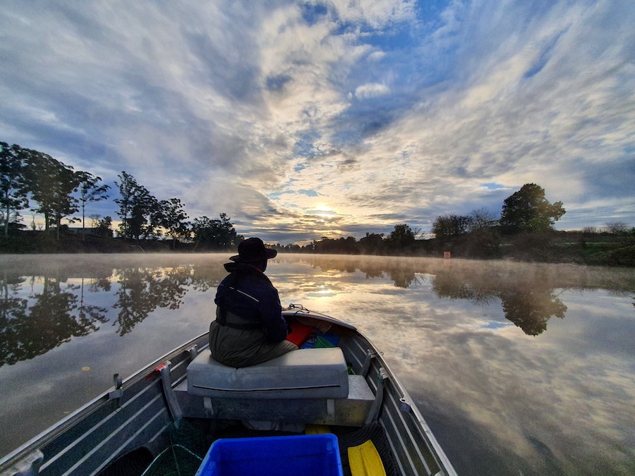 Incoming summer heatwave to fuel weeds in Western Sydney waterways as ...