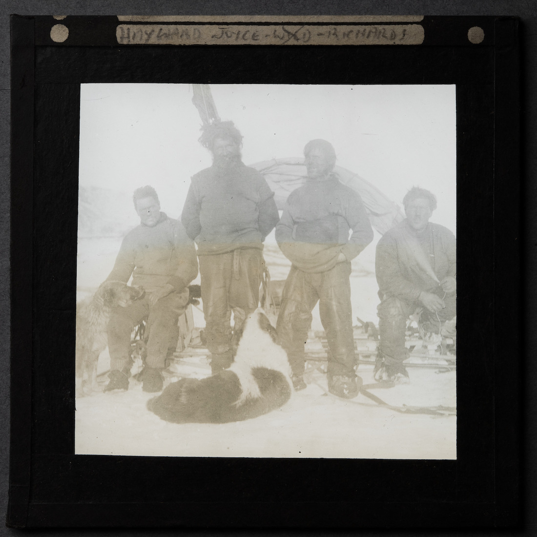 The Heroic Story of SY Aurora - Marine Business News