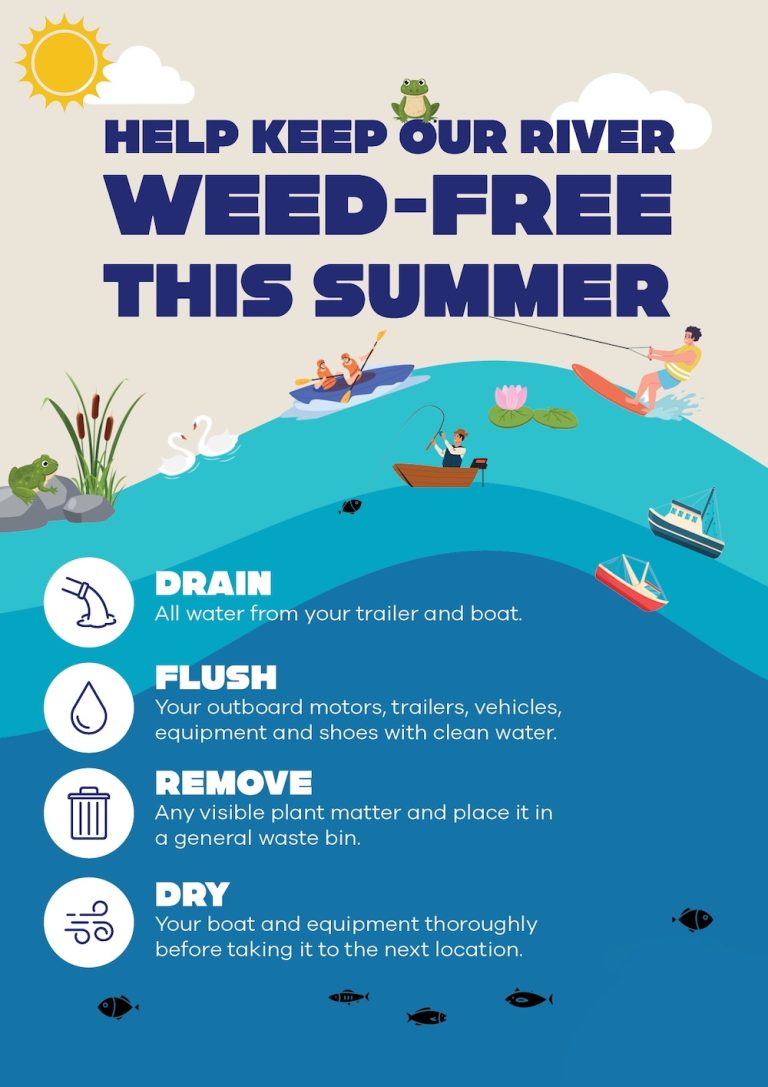 Caution urged for Western Sydney boaters this summer as aquatic ...