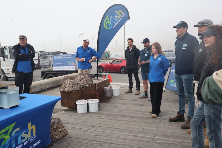 A new shellfish reef in Port Phillip Bay is rebuilding the future of ...