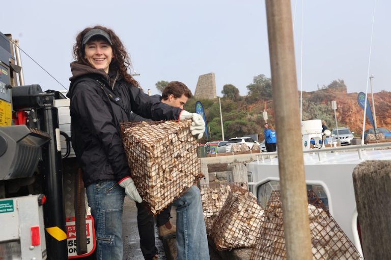 A new shellfish reef in Port Phillip Bay is rebuilding the future of ...
