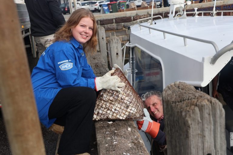 A new shellfish reef in Port Phillip Bay is rebuilding the future of ...